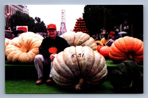 Postcard Vtg Ohio Circleville Pumpkin Show Dr Robert Liggett Giant 89th ...
