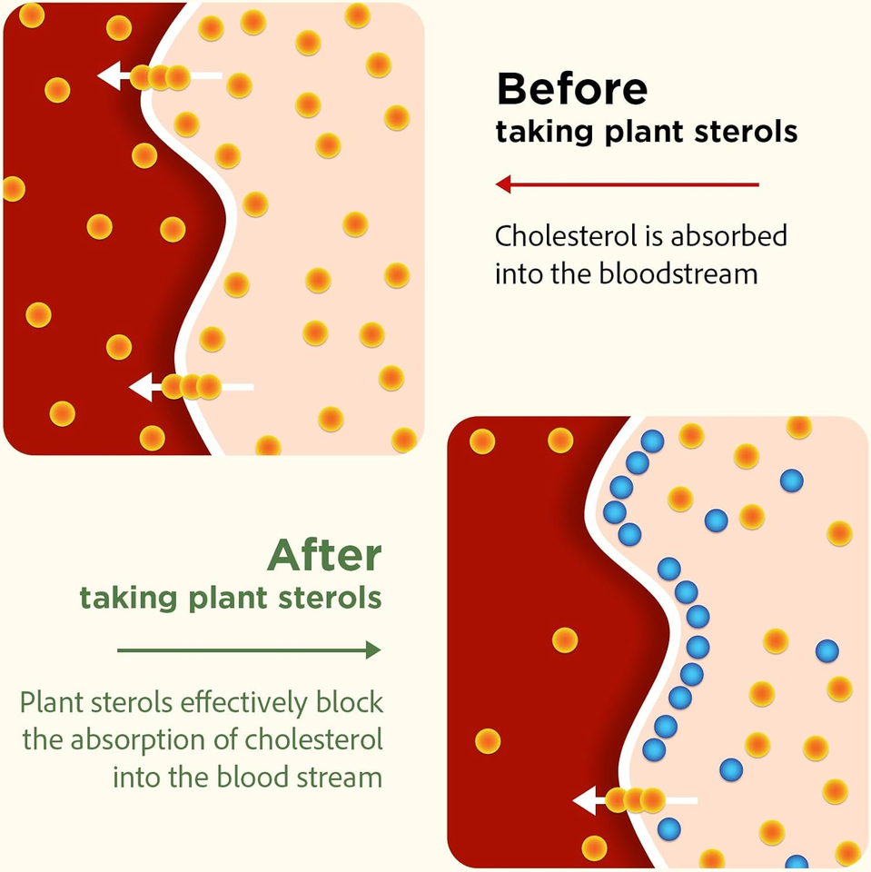 Advanced Cholesterol Supplements | Liquid-Filled Capsules for Maximum ...