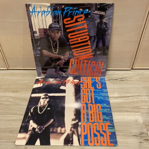 ARABIAN PRINCE NEW SITUATION CRITICAL LP VINYL & SHES GOT A BIG POSSE ...
