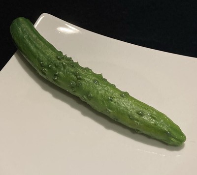 Food Sample Mini Cucumber | eBay