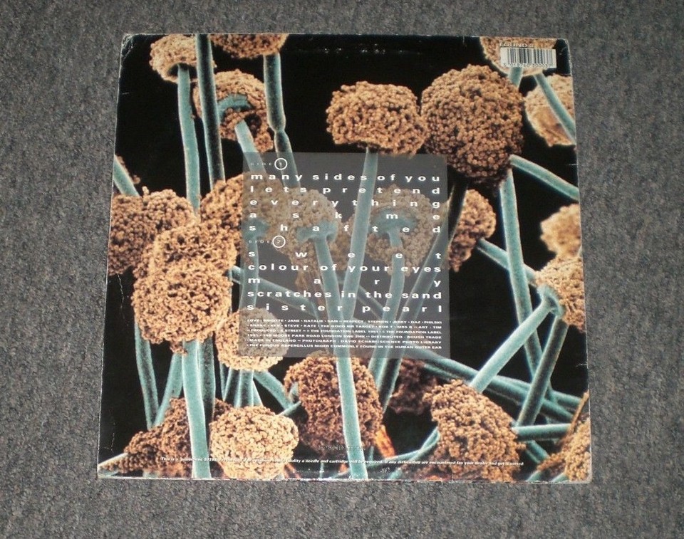 Sp!n~In Motion~1991 Indie Rock / Britpop~Gene~UK IMPORT~FAST SHIPPING ...