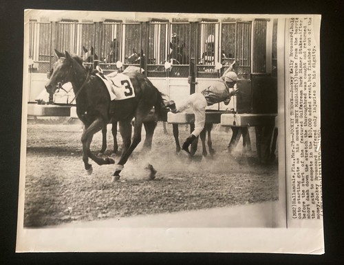 Vintage Horse Racing Wire Photo - 1960 Florida | eBay