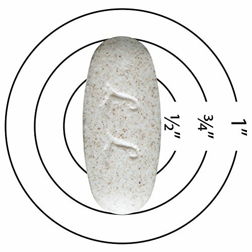 2 Pack Fibercon Fiber Therapy For Regularity Supplement 140 Caplets ...