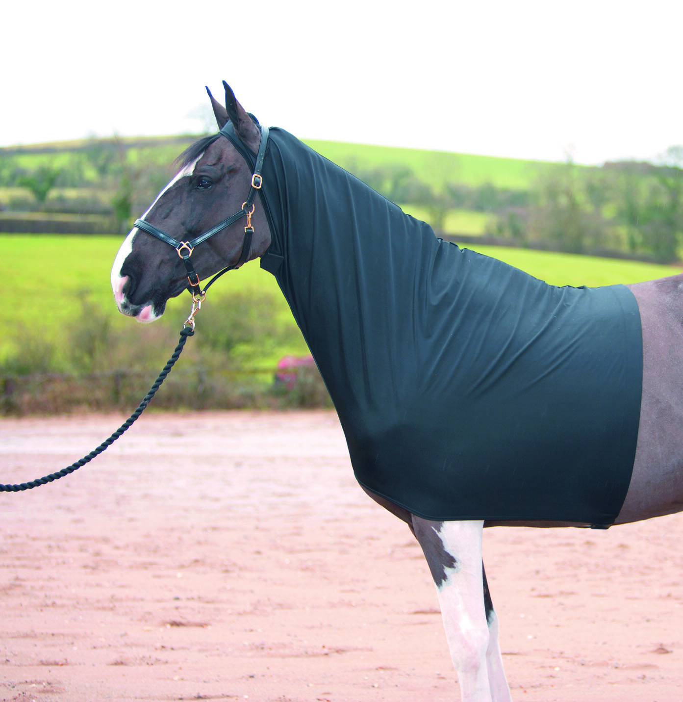 SHIRES LYCRA OPEN FACE STRETCH HOOD PONY HORSE NECK MANE COVER | eBay UK