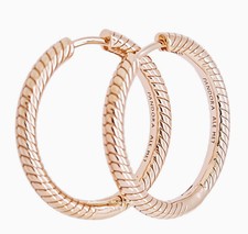 Authentic Pandora #289532C00 Pandora Moments Charm Hoop Earrings Rose ...