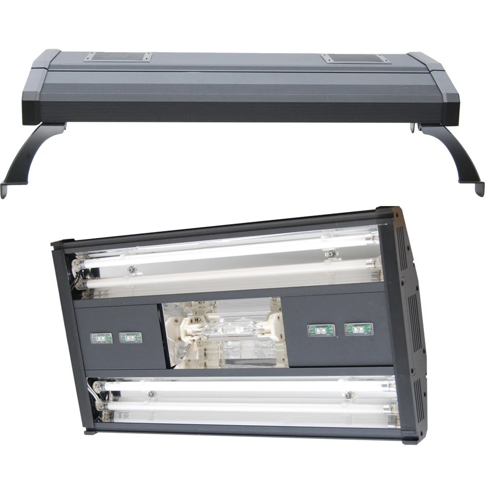 Aquarium Metal Halide Lighting Systems | Shelly Lighting