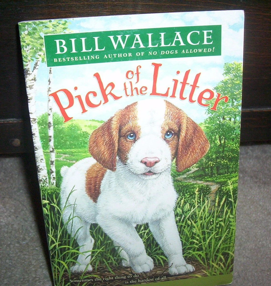 No Dogs Allowed By Bill Wallace