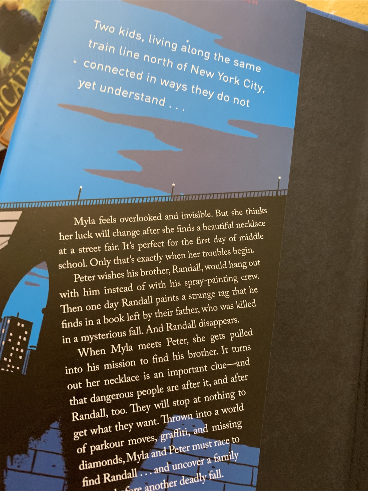 Finding Mighty by Sheela Chari (2017, Hardcover) for sale online | eBay