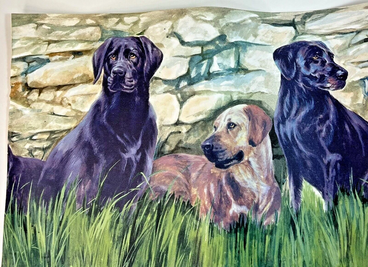Labrador Retriever Wallpaper Border