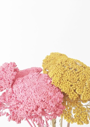 Treetops PREMIUM POSTER FILM PRINT HIGH QUALITY Thick paper | eBay ...