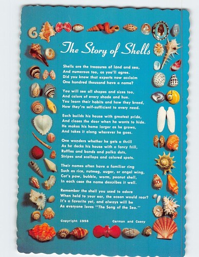 Postcard The Story of Shells | eBay