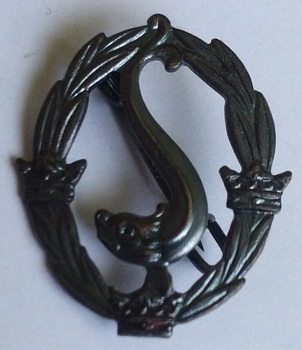 Sweden Swimming Pin Three Crowns Coat of Arms Military | eBay