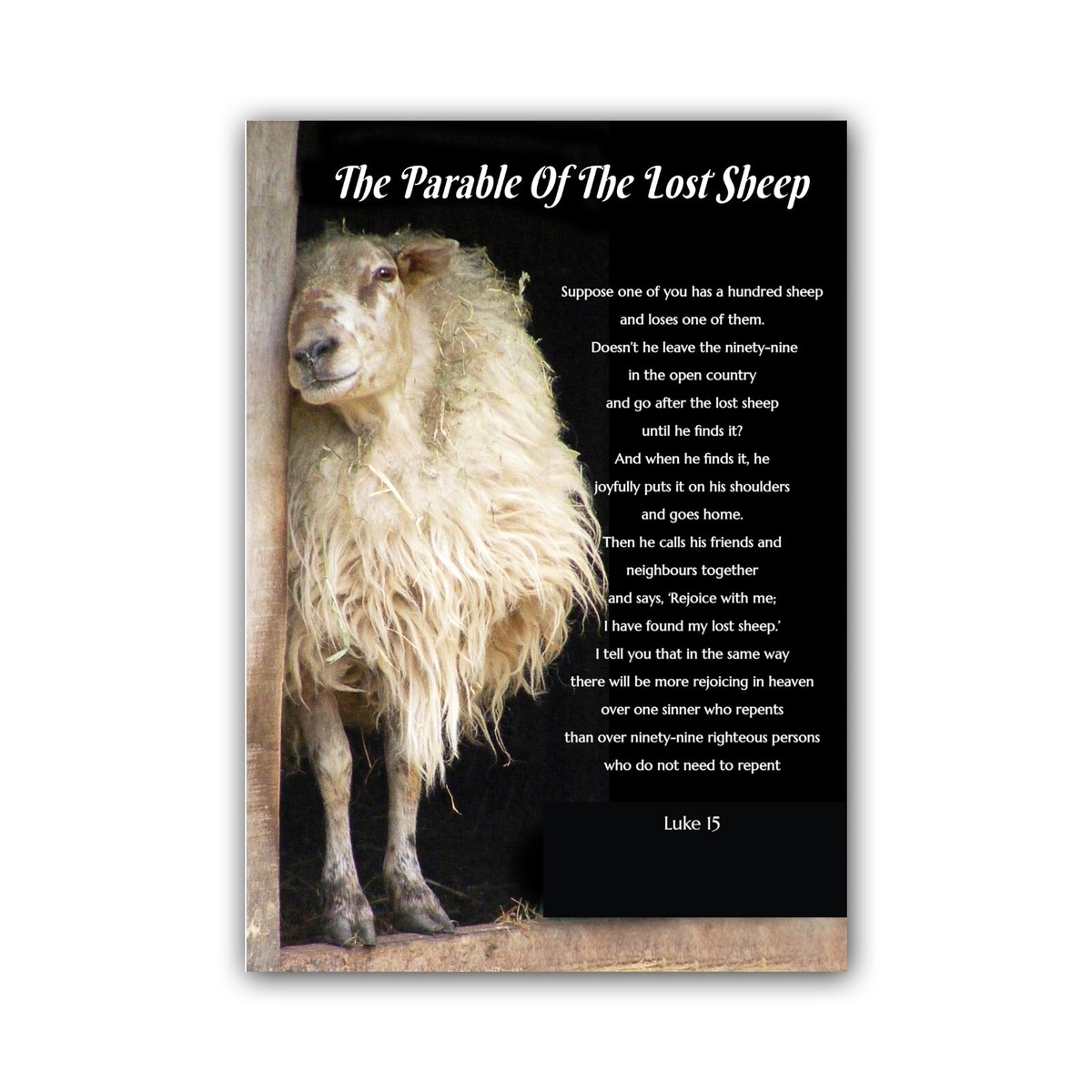 One Lost Sheep 14 Illustrations Of The Parable Of The Lost Sheep