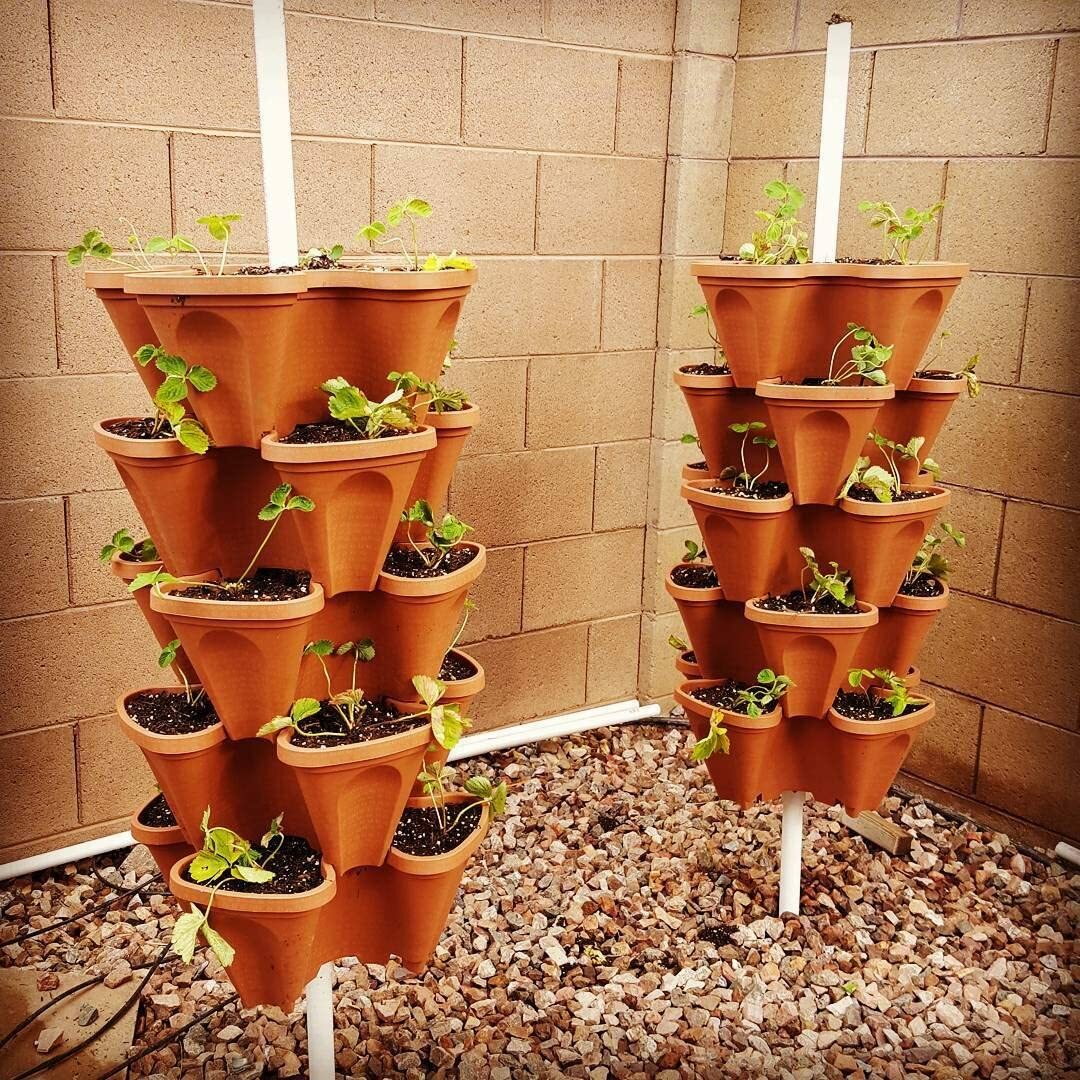 5 layer strawberry and vanilla garden planter-stackable garden pots ...