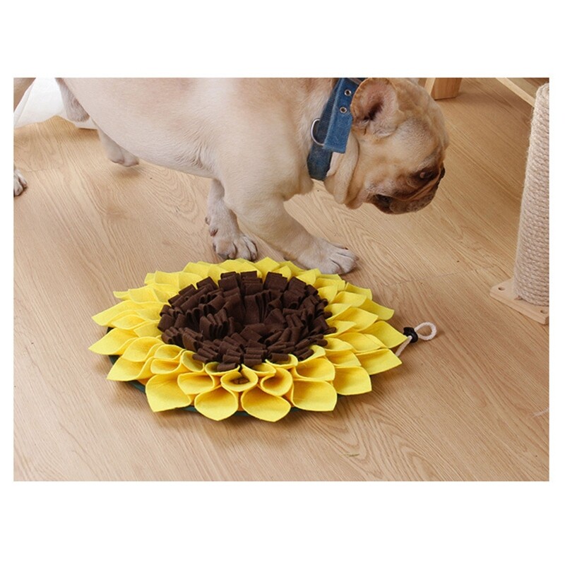 Pet Nose Smell Training Sniffing Pad Slow Feeding Bowl Dispenser Slow ...