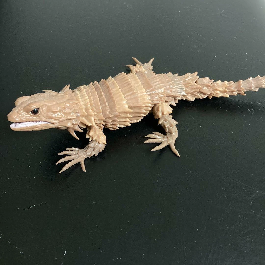 Armadillo Girdled Lizard Wallpaper