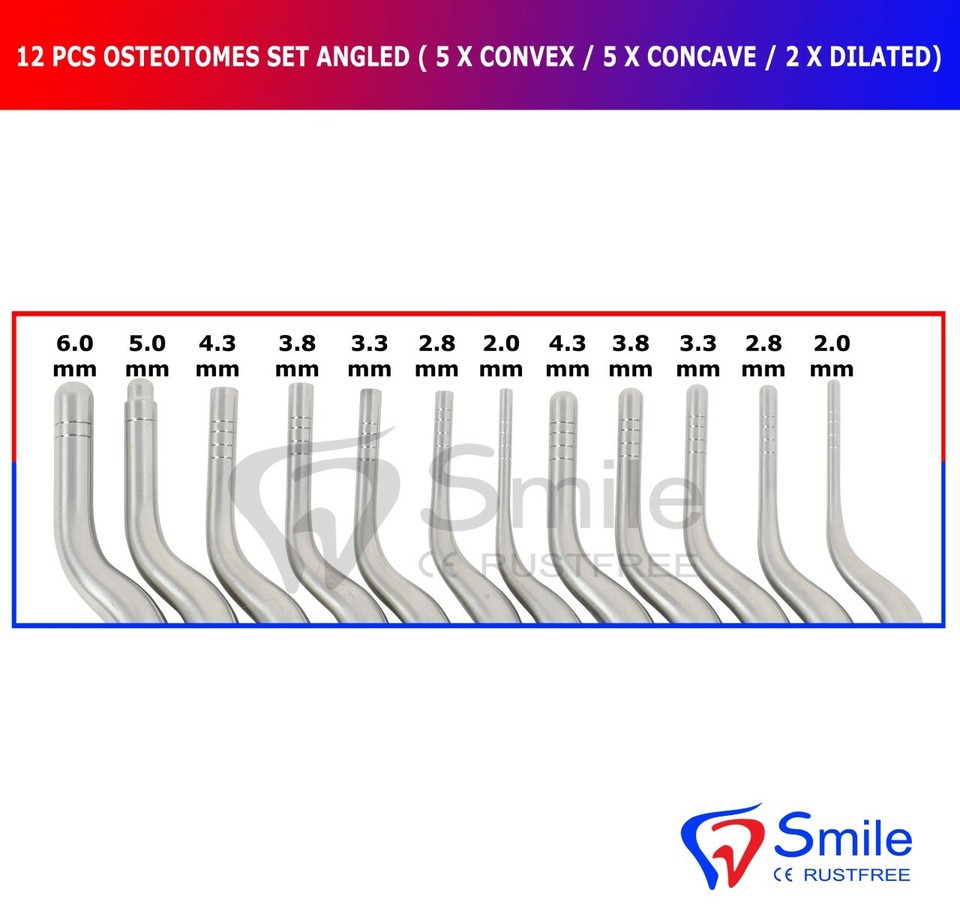 12 Pcs Osteotomes Set Angled -5 x Convex + 5 x Concave + 2 x Dilated ...