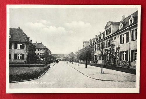 Postcard Dresden Gruna around 1930 view in the tree row (106716 | eBay