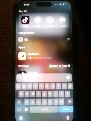 iPhone 14pro Max “Tik Tok Installed” Priority Free Shipping ...