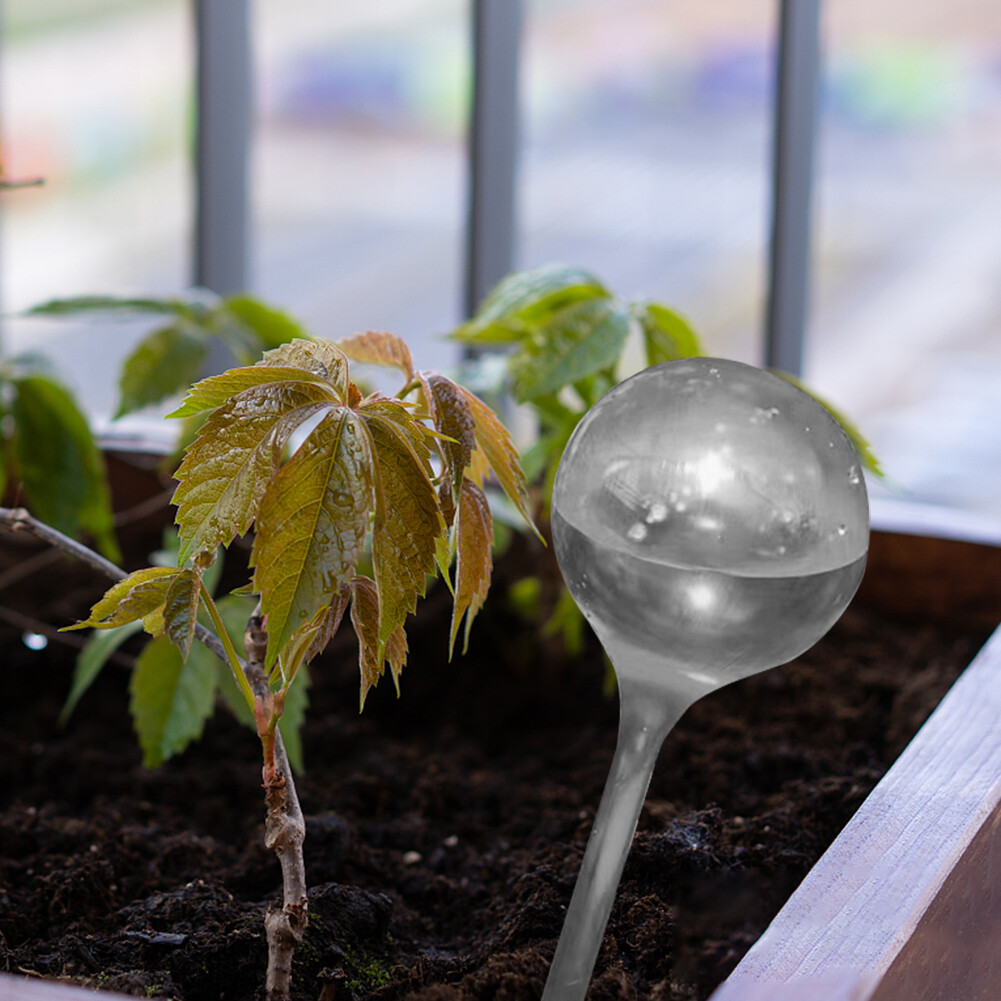 PVC Plant Waterer Transparent Ball Shape Drip Irrigation for Indoor ...