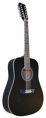 12 Strings Acoustic Guitar (Canadian brand) | eBay