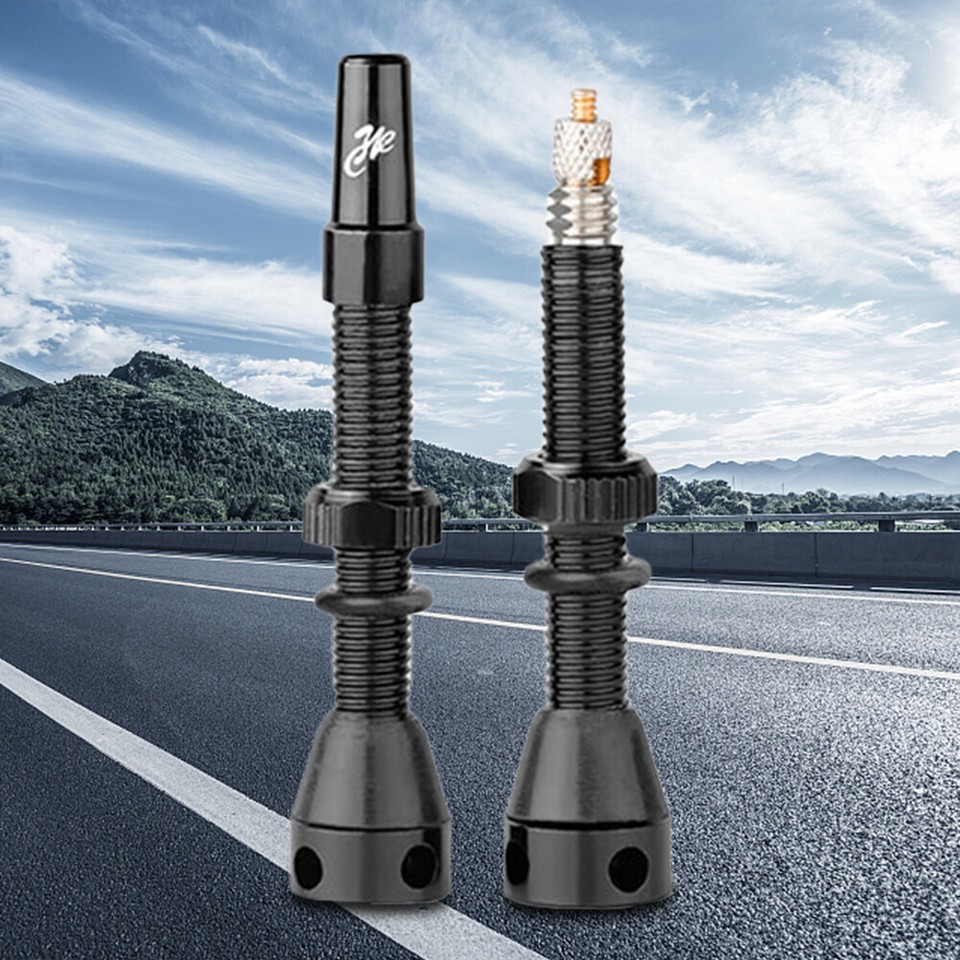 2Pcs Tubeless Air Valve Alloy 44/60mm Tubeless Valve Stem Kit ...