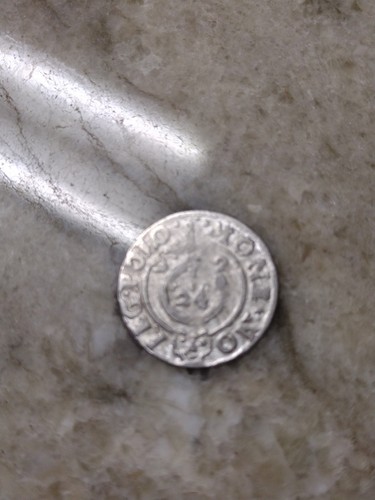 (1) Coin-1600's Poland King Sigismund III House of Vala Silver 1/24 ...