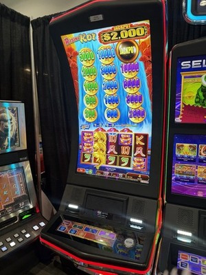 Konami Crescent Rising Koi Slot Machine | eBay