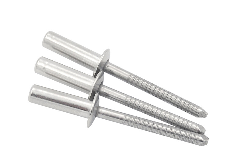 100pcs Stainless Steel Round Head Closed End Blind Sealed Hollow Blind ...