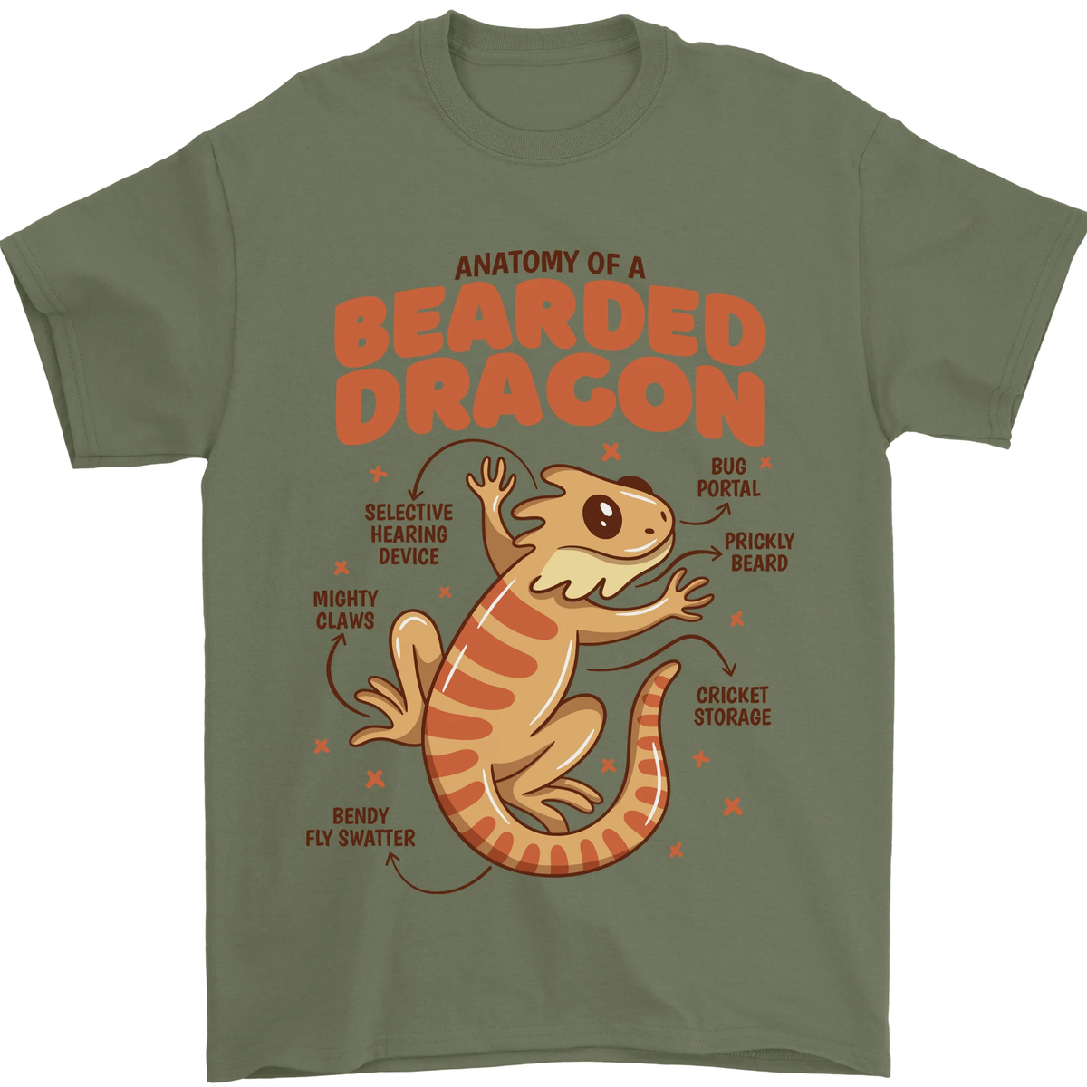 Anatomy Of A Bearded Dragon Anatomy Retailer Of A Bearded Dragon