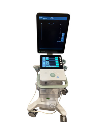 BK B&K Medical BK-3500 Ultrasound With 6C2 Probe - 2016 | eBay