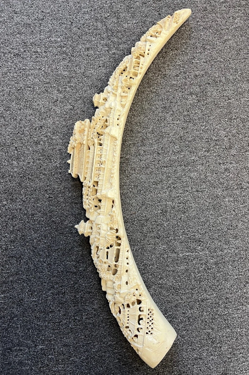 Carved Tusk