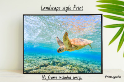 SEA TURTLE A4 PRINT POSTER PICTURE WALL ART HOME DECOR UNFRAMED GIFT ...