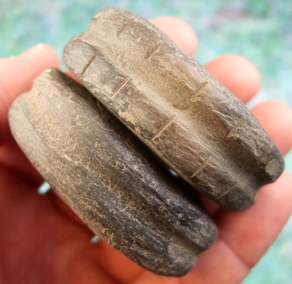 Super Fine Set of G10 Engraved Missouri Ear Spools with COA Arrowheads ...