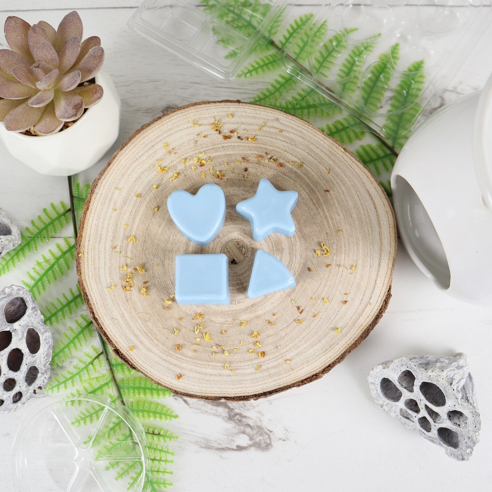 Wax Melt Making Kit Fresh Linen Fragrance Oil Soy Wax Light Blue Silver ...