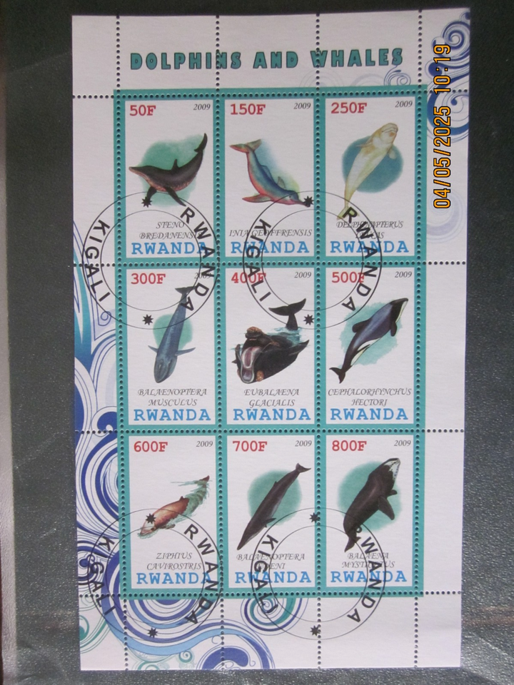 Nice Fish collection! Free post! M84#210 | eBay Australia