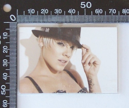 PINK SOUVENIR VINYL FRIDGE MUSIC ALBUM SINGER PROMO FAN MERCHANDISE ...