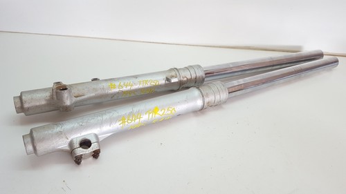 Front Suspension Forks Yamaha TTR250 Raid 1995 4GY Import #644 | eBay ...