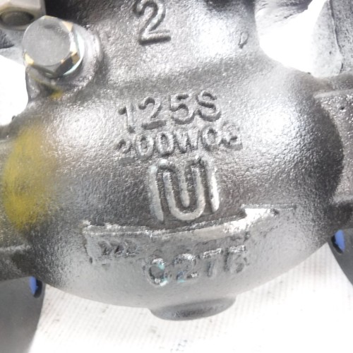 Hammond 2" 200WOG 125 IBBM Horizontal Flange Swing Check Valve ...