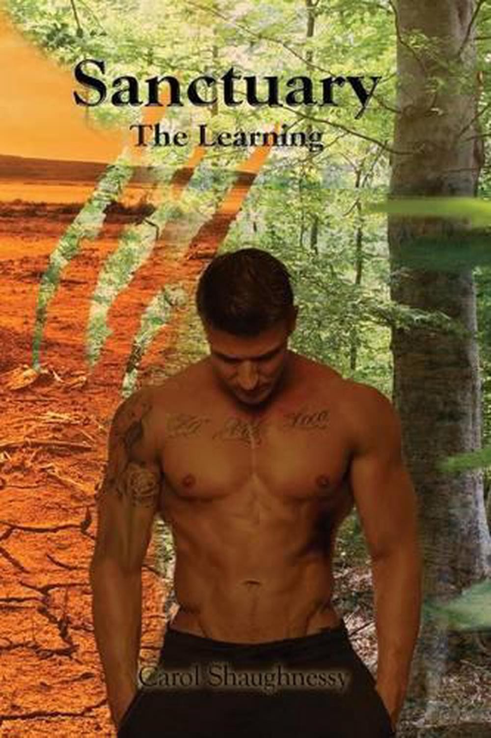 Sanctuary - The Learning by Carol Shaughnessy (English) Paperback Book ...