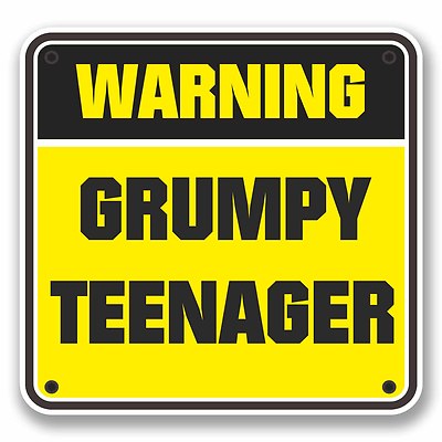 2 x 10cm Grumpy Teenager Warning Sign Vinyl Sticker Laptop Boys Joke ...