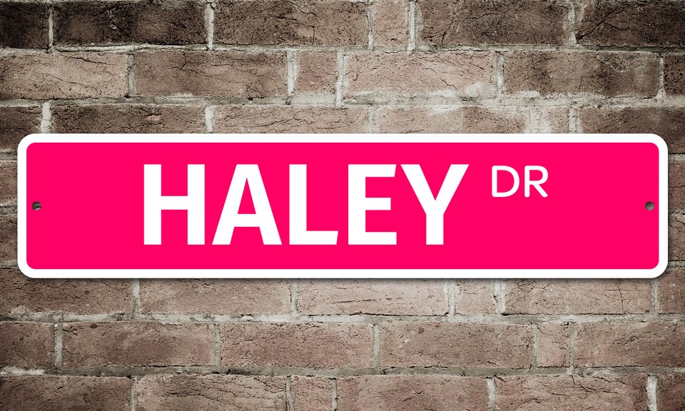 6190 SS Haley 4" x 18" Novelty Street Sign Aluminum | eBay