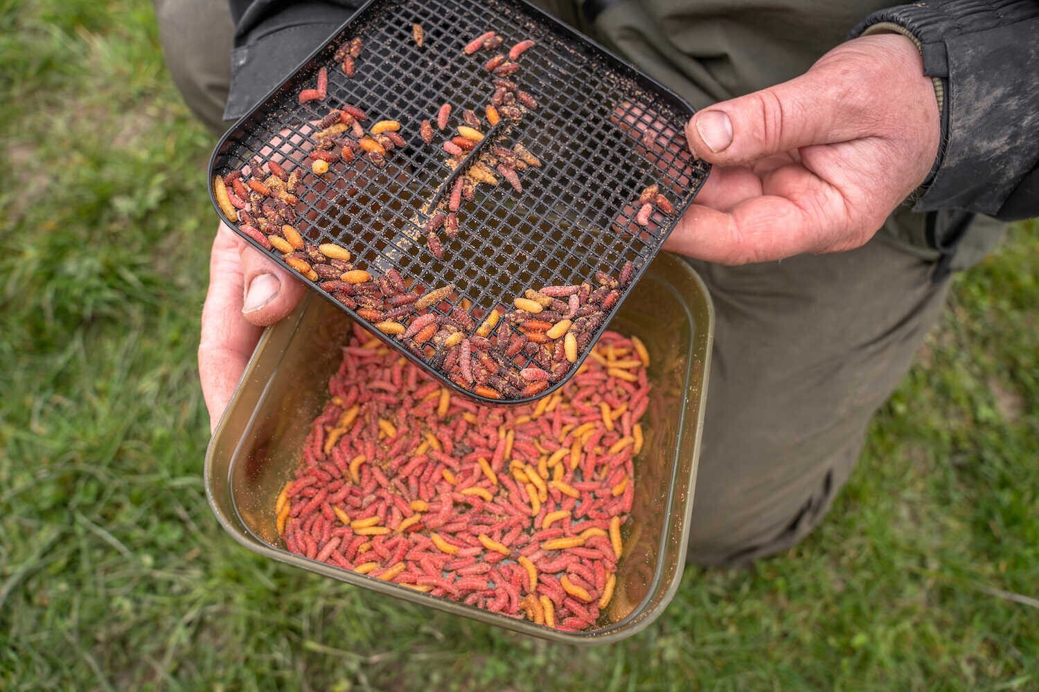 Korum Maggot Tub And Riddle 2Pt/1.2L Coarse Fishing Bait Luggage Box ...