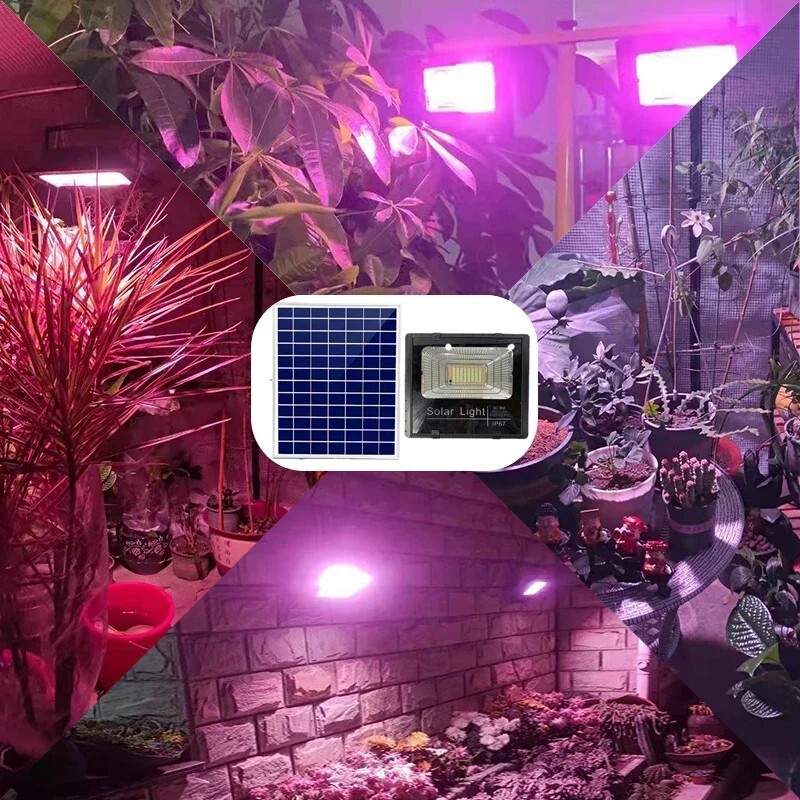 Full Spectrum Solar Power LED Grow Light Phyto Lamp For Indoor Plants ...