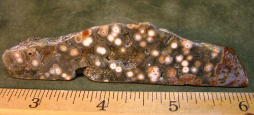 59g 4inchs OCEAN JASPER ORBICULAR CUT & TUMBLED LIANYUNGANG CHINA #282 ...