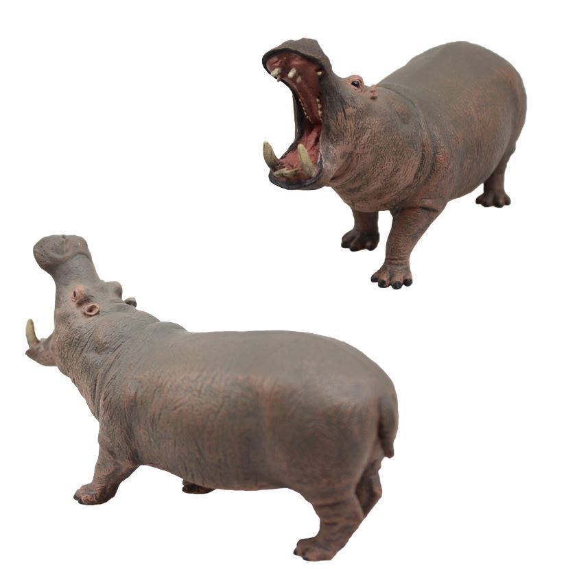 Hippopotamus Hippo Animal Wildlife Toy Model Figure by CollectA 88833 ...