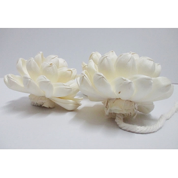 8 Cm. Magnolia Lotus Dried Flower Handmade Reed Diffuser Fragrance ...