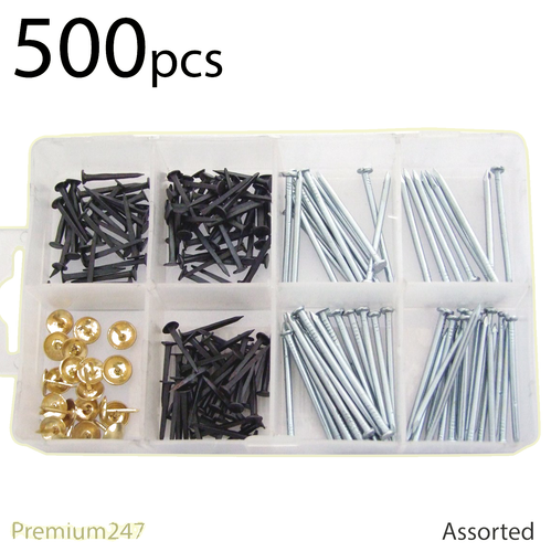 500x Assorted Flat Head Nails DIY Wood Carpentry Pins Nail Metal ...