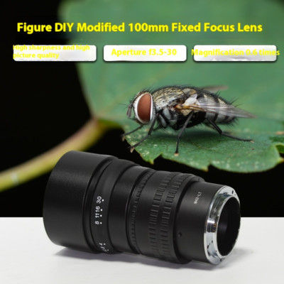 Camera lenses insect photography lenses are available for a variety of ...