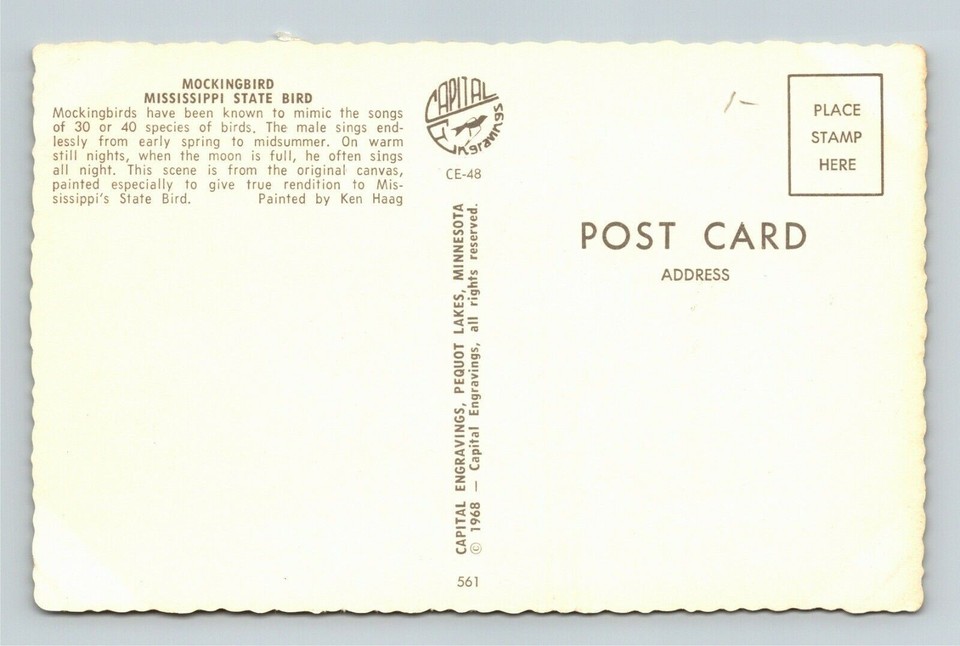 MS-Mississippi, Mockingbird, MS State Bird Vintage Souvenir Postcard | eBay